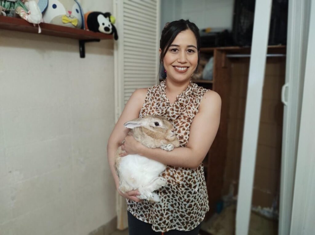 Aleyda, la única rescatista de conejos en la ciudad más poblada de ...